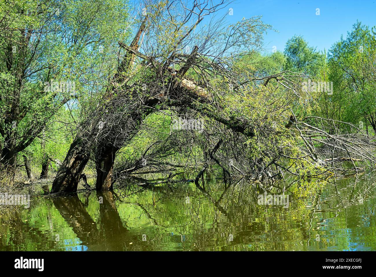 Middle tide hi-res stock photography and images - Alamy