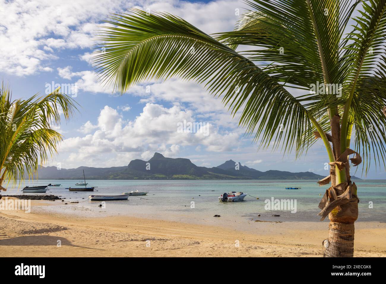 Palm trees on tropical beach, Preskil Island Resort, Mahebourg ...