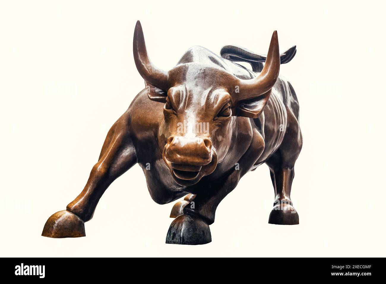 Charging Bull isolated on white background. Bull represents aggressive ...