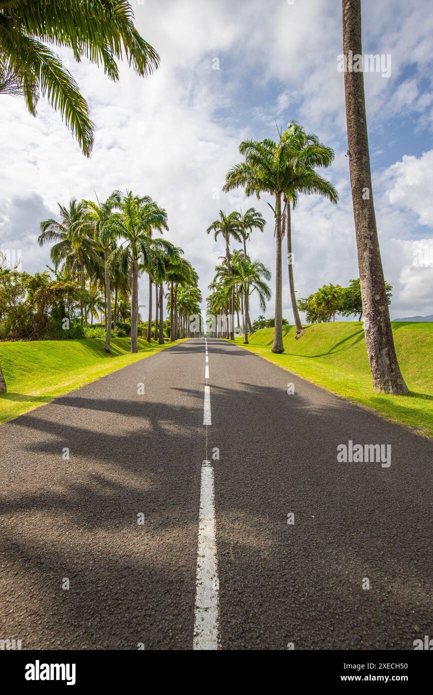 The famous Pallem allee lâ€™AllÃ©e Dumanoir. Landscape shot Grand Terre ...