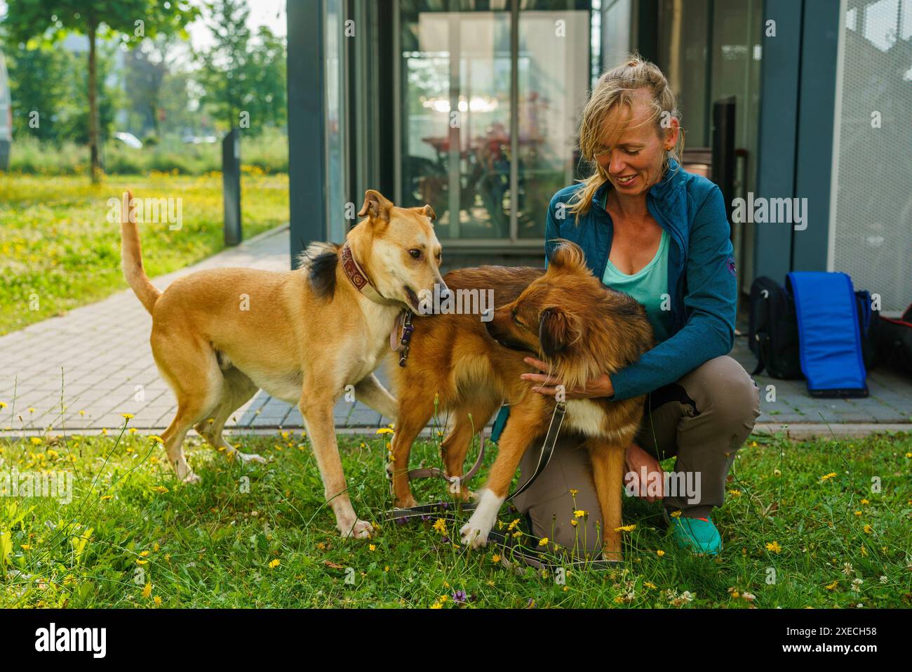 27 June 2024, Hesse, Groß-Gerau: Annette Walpuski, vet and dog handler ...