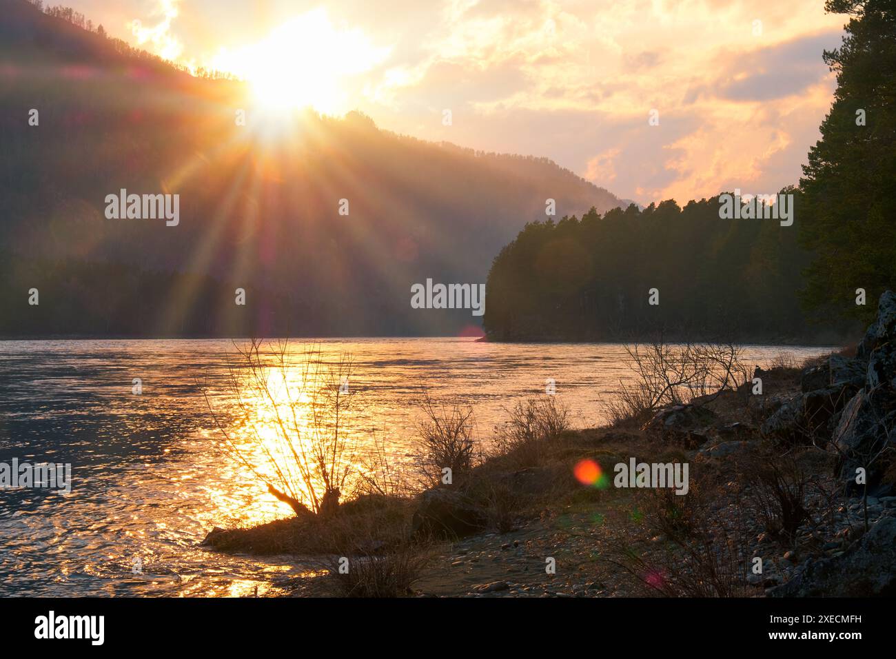 La taiga hi-res stock photography and images - Alamy