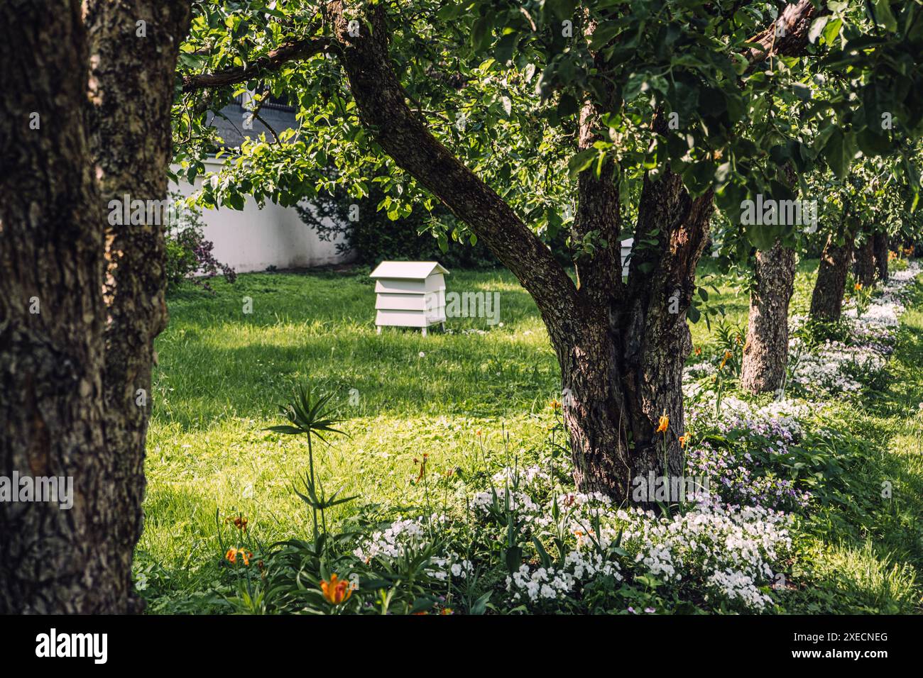 Beehive management hi-res stock photography and images - Alamy