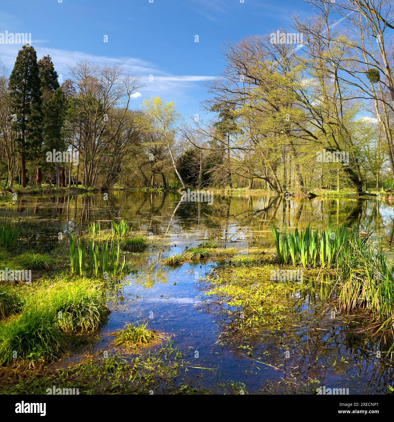 Paffendorf Castle, castle park, Bergheim, Lower Rhine, North Rhine ...