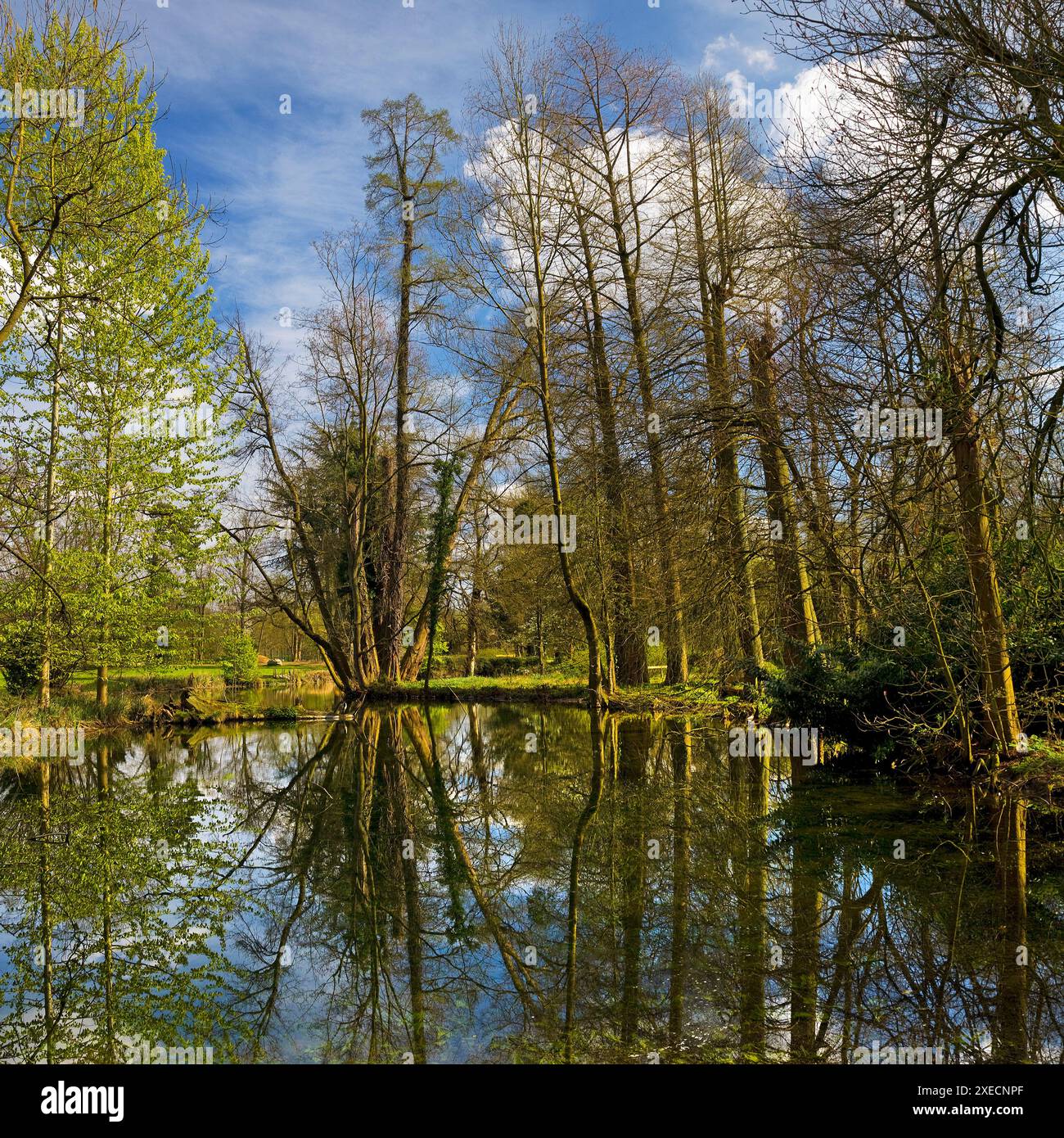 Paffendorf Castle, castle park, Bergheim, Lower Rhine, North Rhine ...