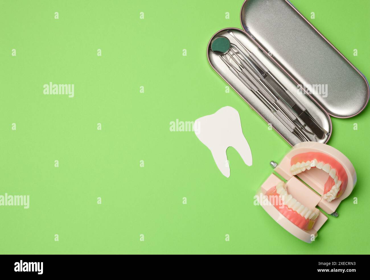 Metal dentist tools, plastic jaw model with white teeth on a green ...