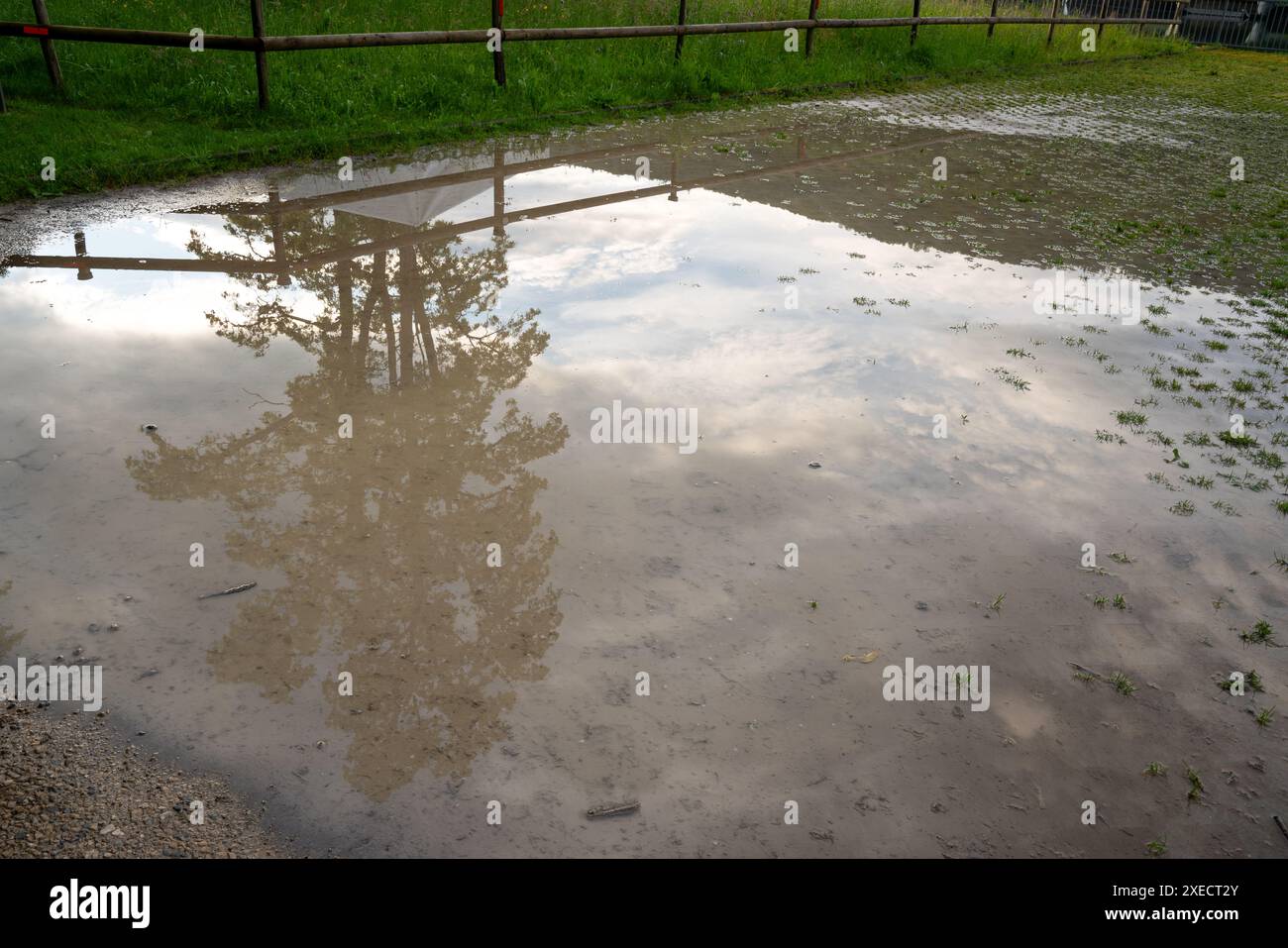 Puddle surface hi-res stock photography and images - Alamy