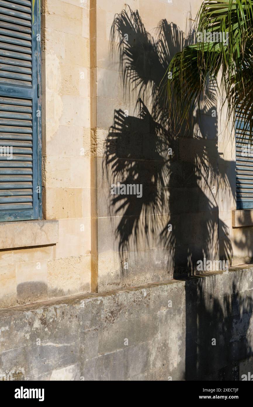 Palm tree shadow building hi-res stock photography and images - Alamy