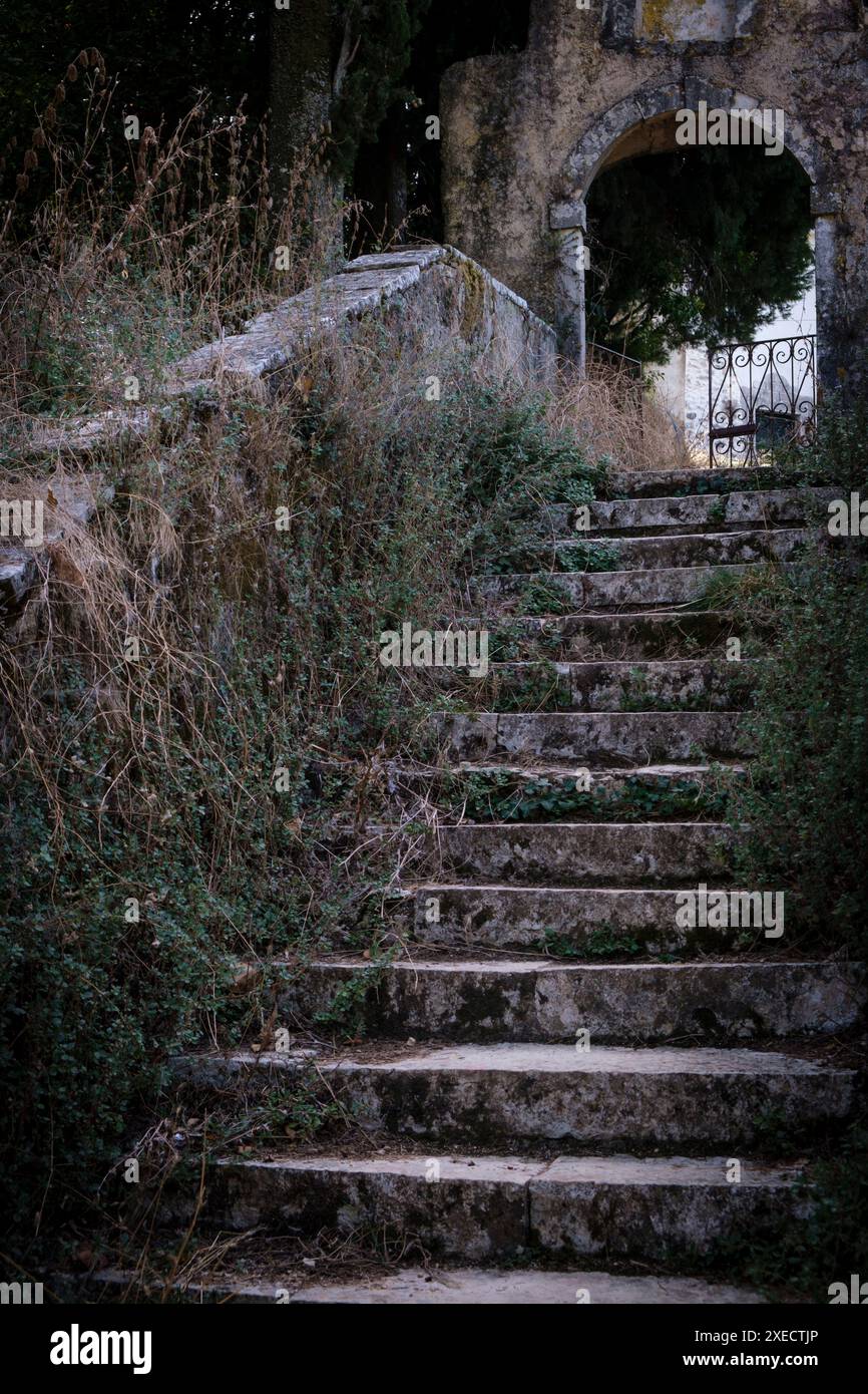 Old stone steps leading to a gate at the top, overgrown, forgotton and ...