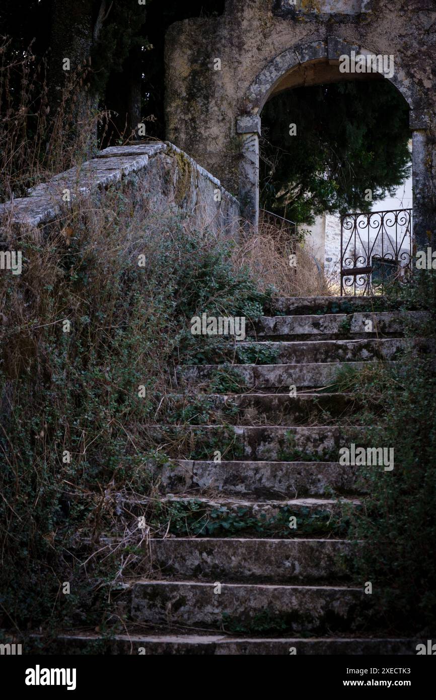 Old stone steps leading to a gate at the top, overgrown, forgotton and ...