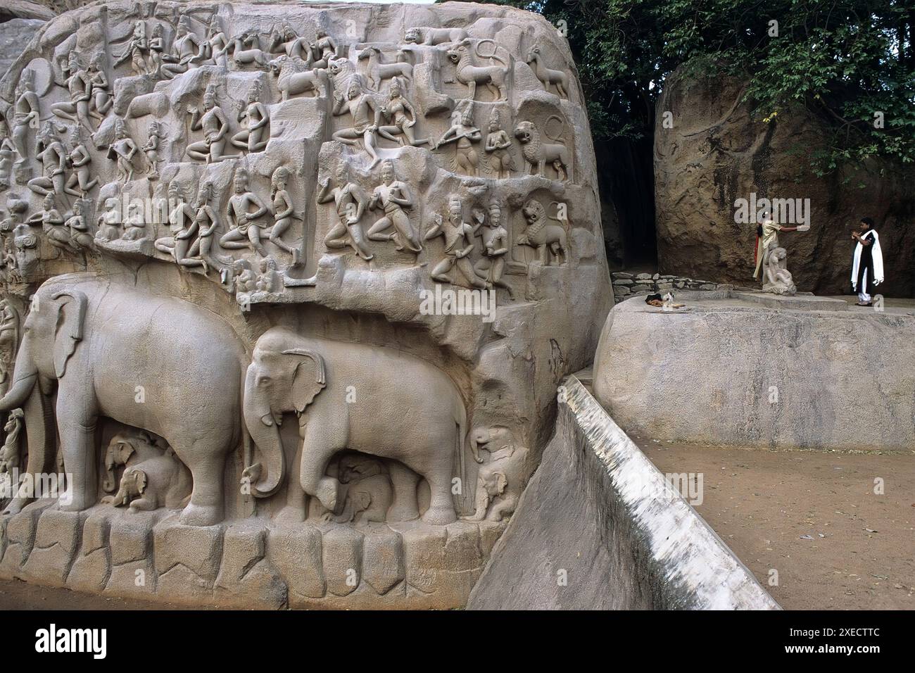 India Tamil Nadu Mamallapuram or Mahabalipuram - Arjuna’s Penance The ...
