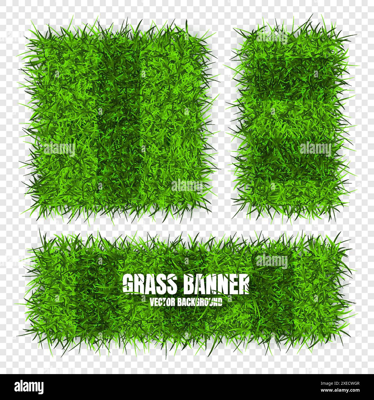 Green grass banners, background. Field, meadow texture, grassy ...