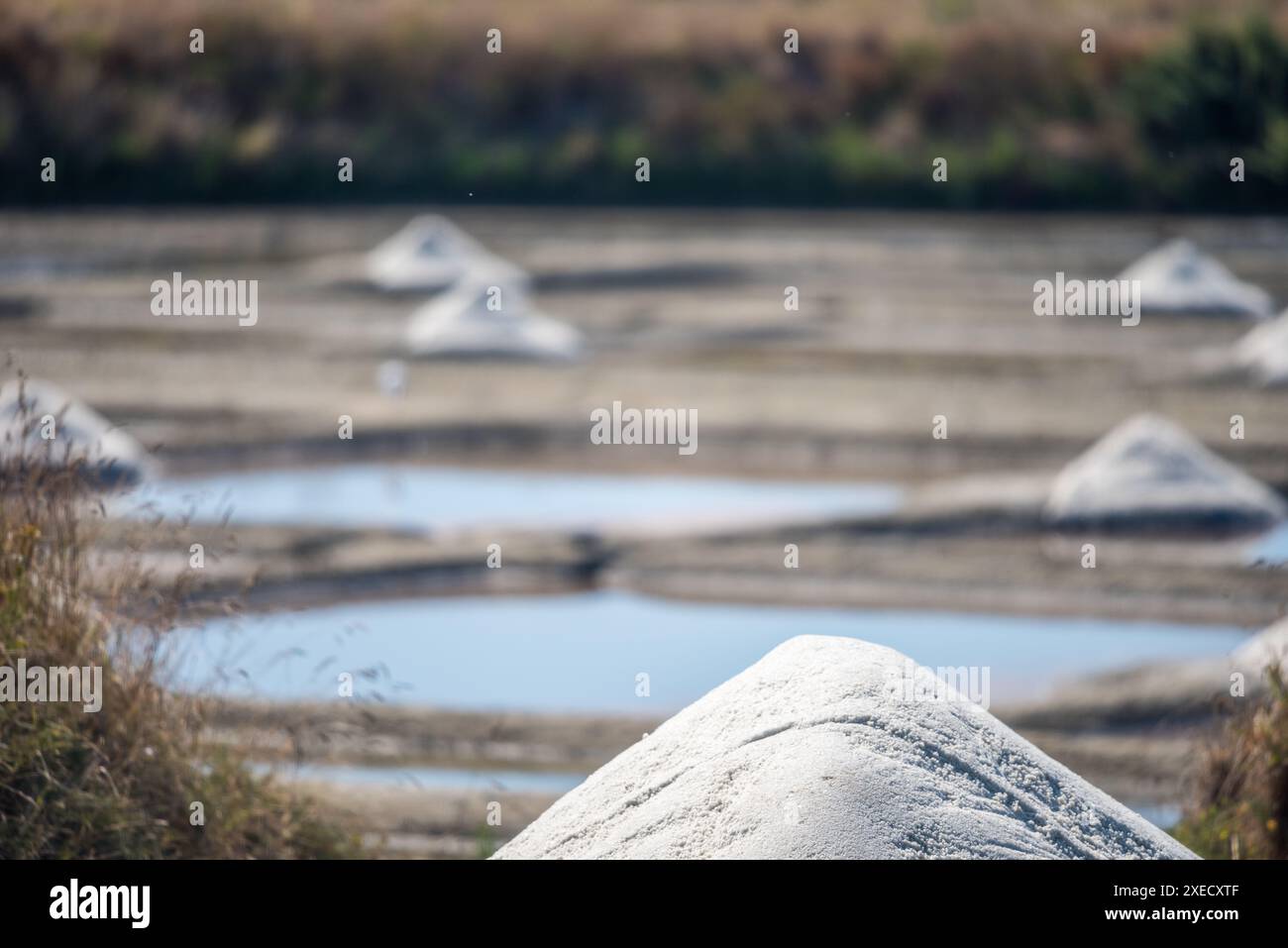 Salinas de guerande hi-res stock photography and images - Alamy