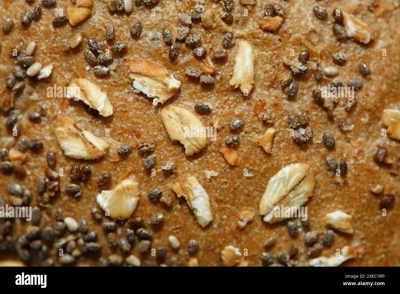 Whole grain roll, world champion roll, grain roll, roll, Germany Stock ...