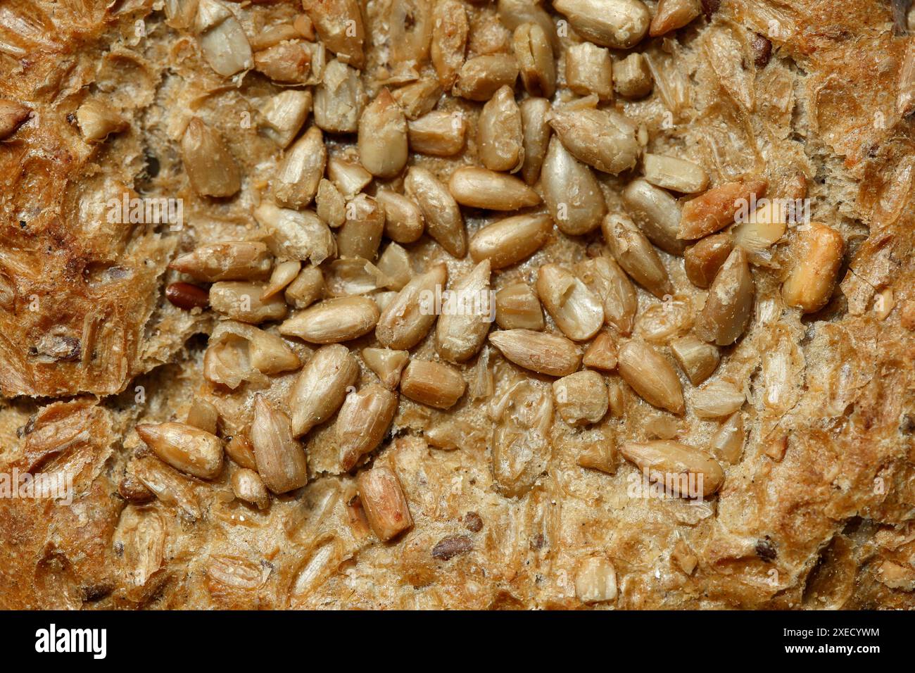 Whole grain roll, world champion roll, grain roll, roll, Germany Stock ...