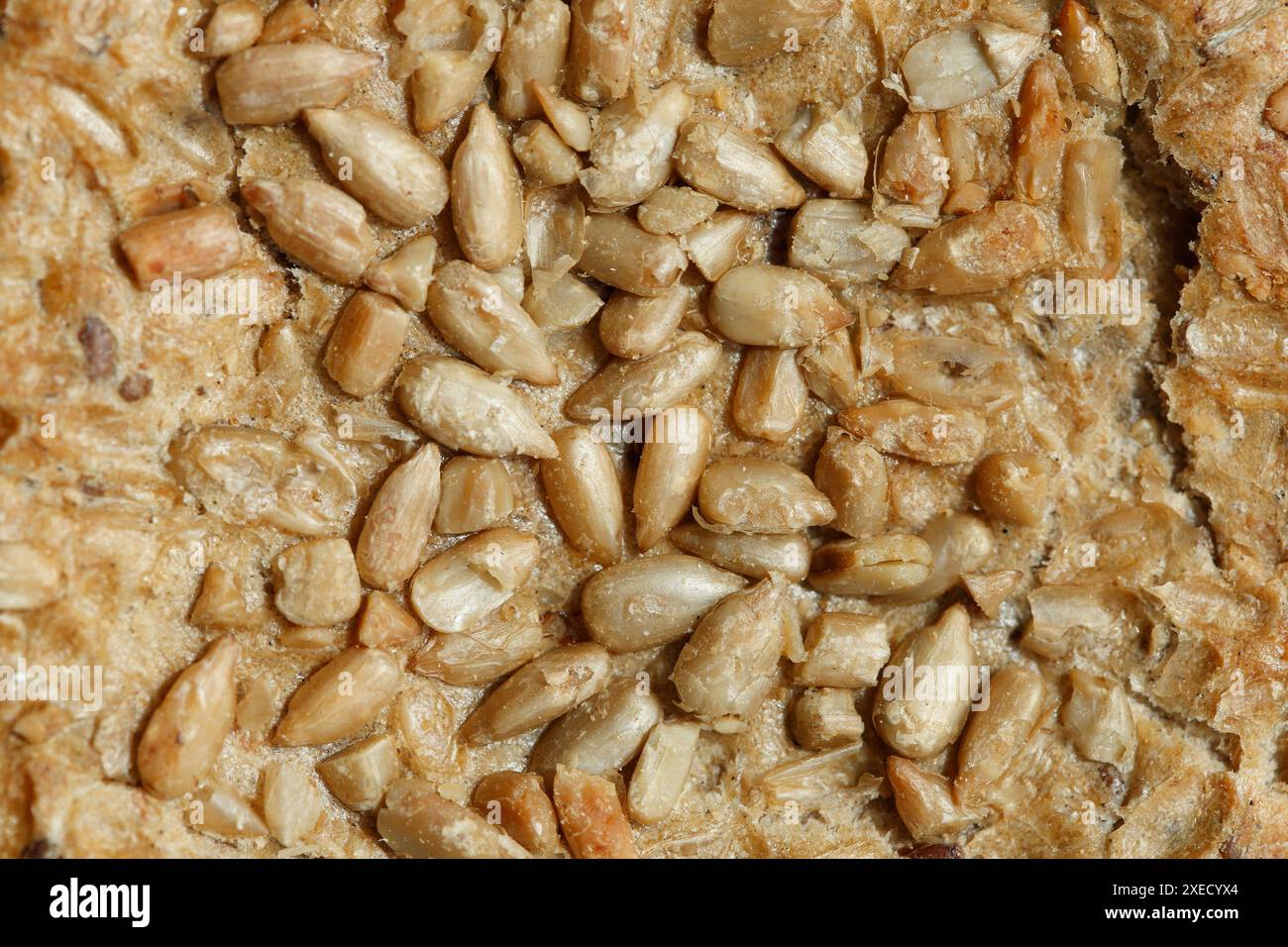 Whole grain roll, world champion roll, grain roll, roll, Germany Stock ...