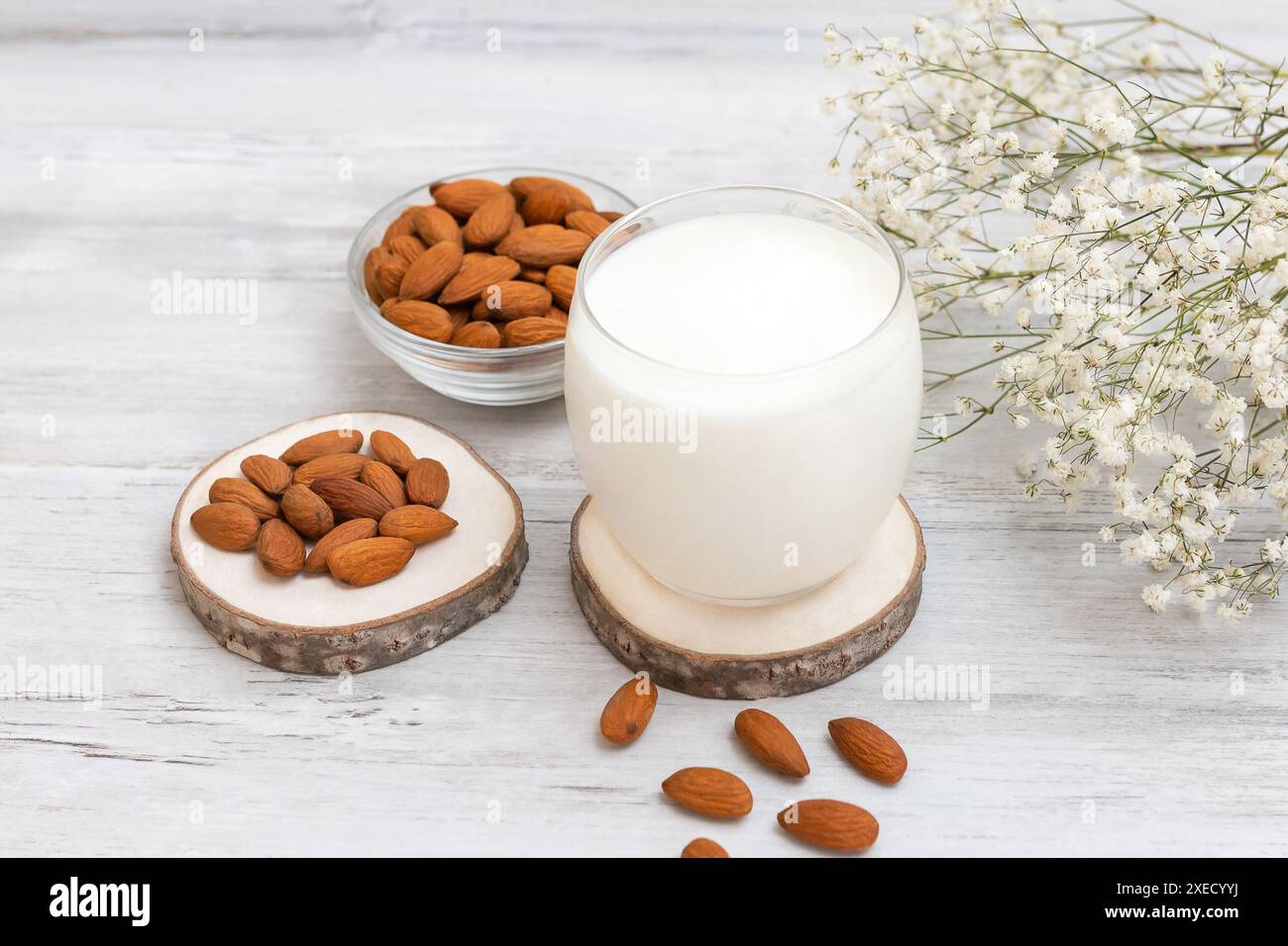 Vegan Nut Milk. Almond Milk in glass and almond nuts. With free space ...
