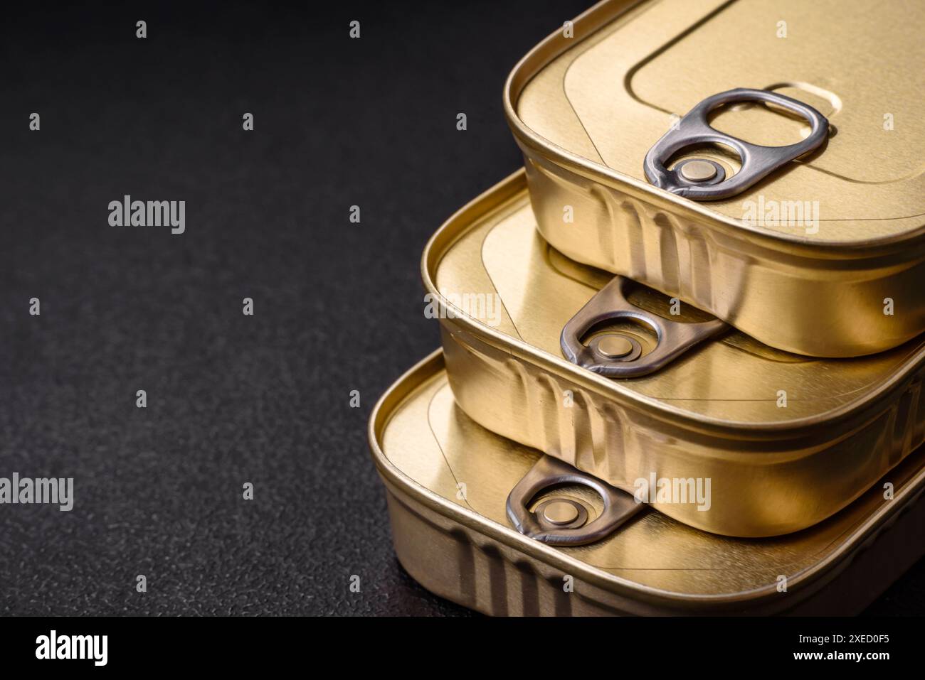 Tin or aluminum rectangular can of canned food with a key Stock Photo ...