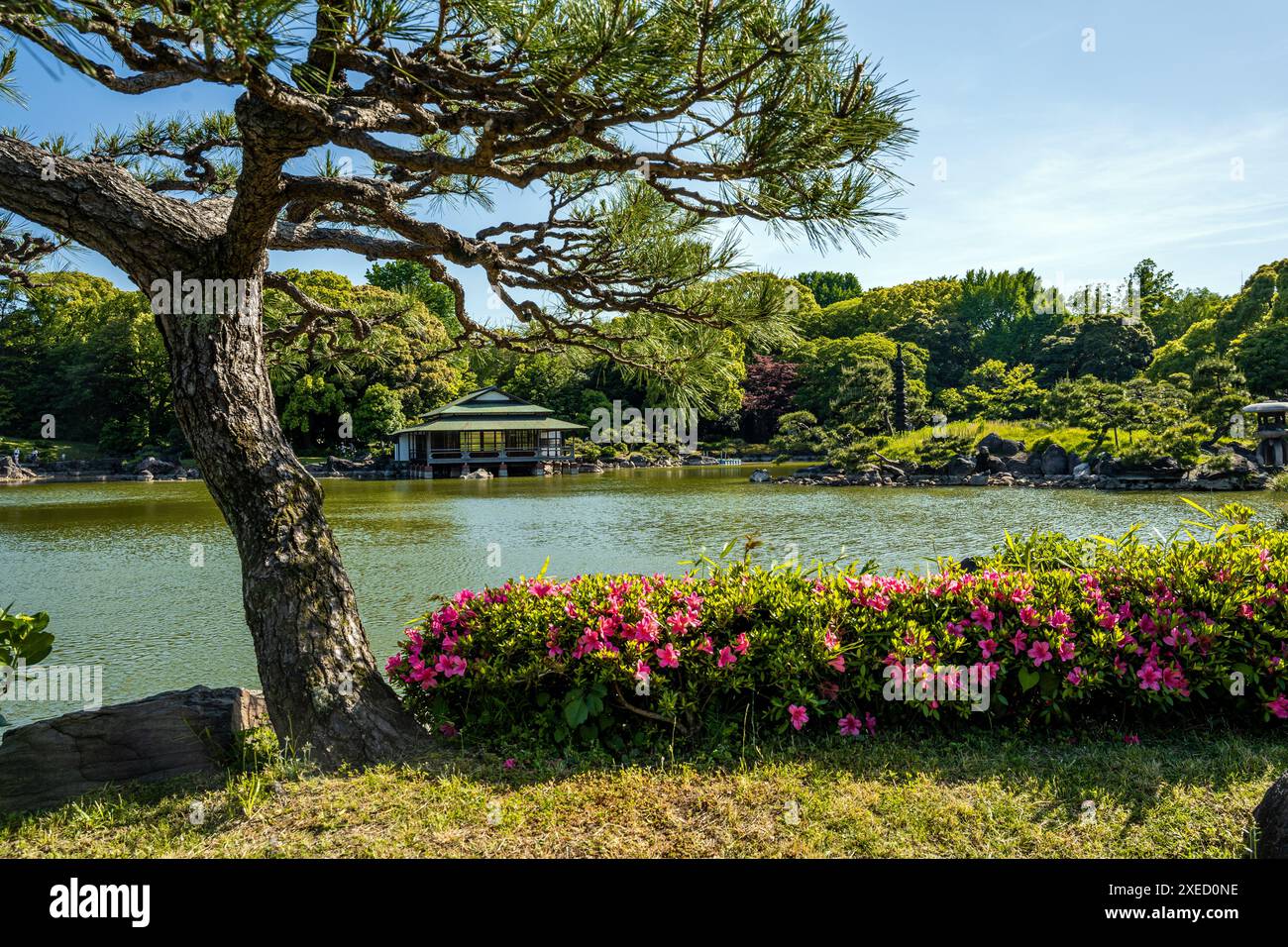 Kiyosumi Teien, a traditional Japanese landscape garden with a pond ...