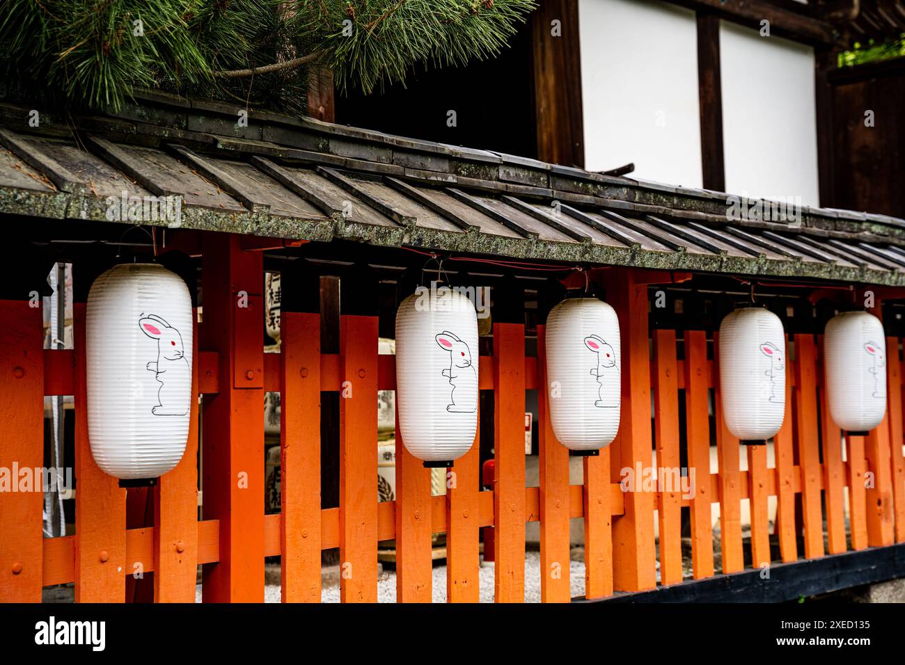 Paper lantern with the drawing of a rabbit, a divine messenger called ...