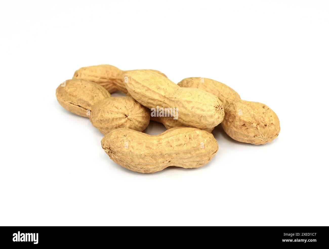 Organic peanuts in shell, isolated on white background. Raw peanuts on ...