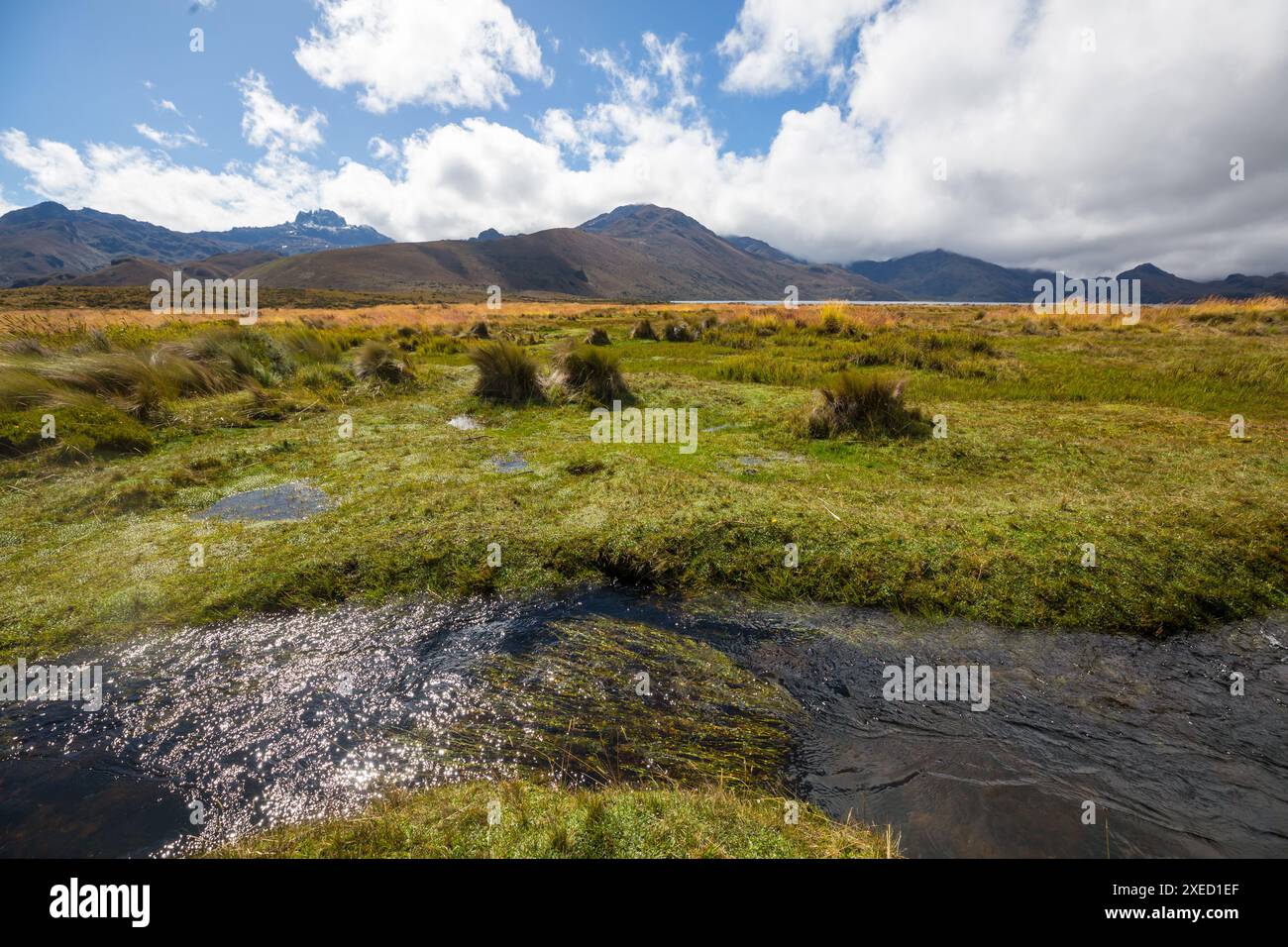Landscapes in Ecuador Stock Photo - Alamy