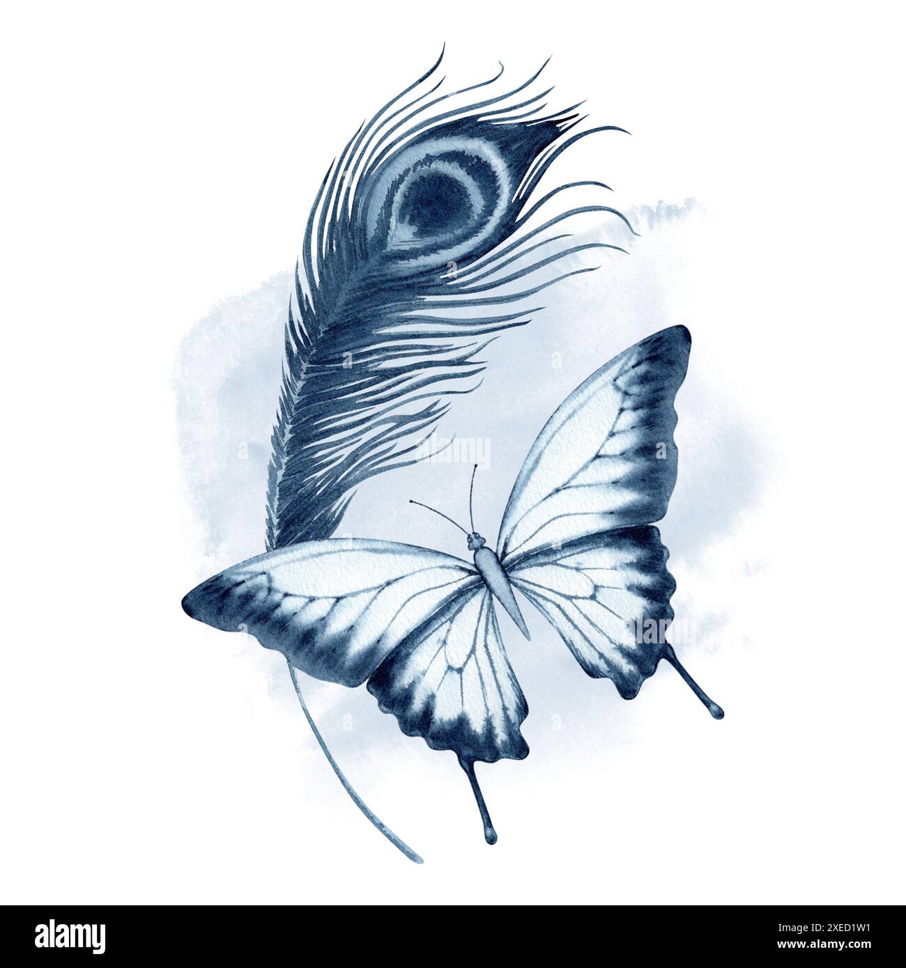 Peacock Feather Butterfly Drawing Vintage Style Peacock Feather
