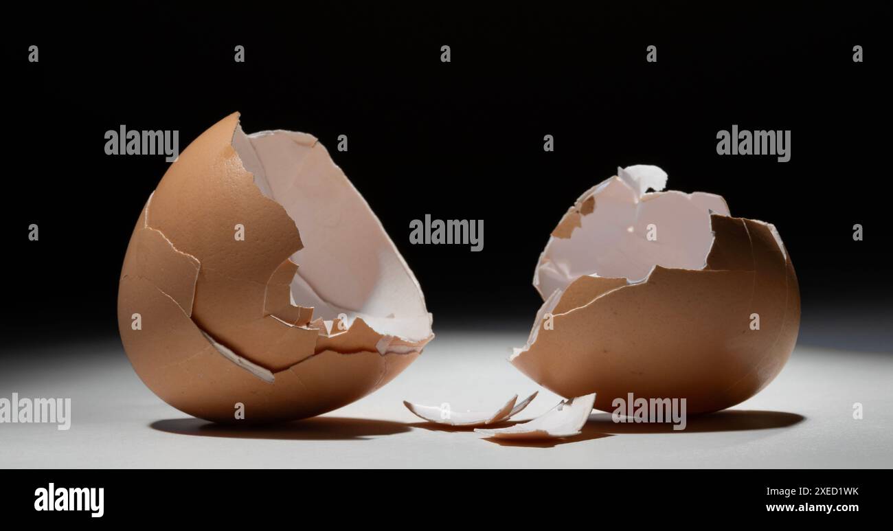 Broken egg shells black bird hi-res stock photography and images - Alamy