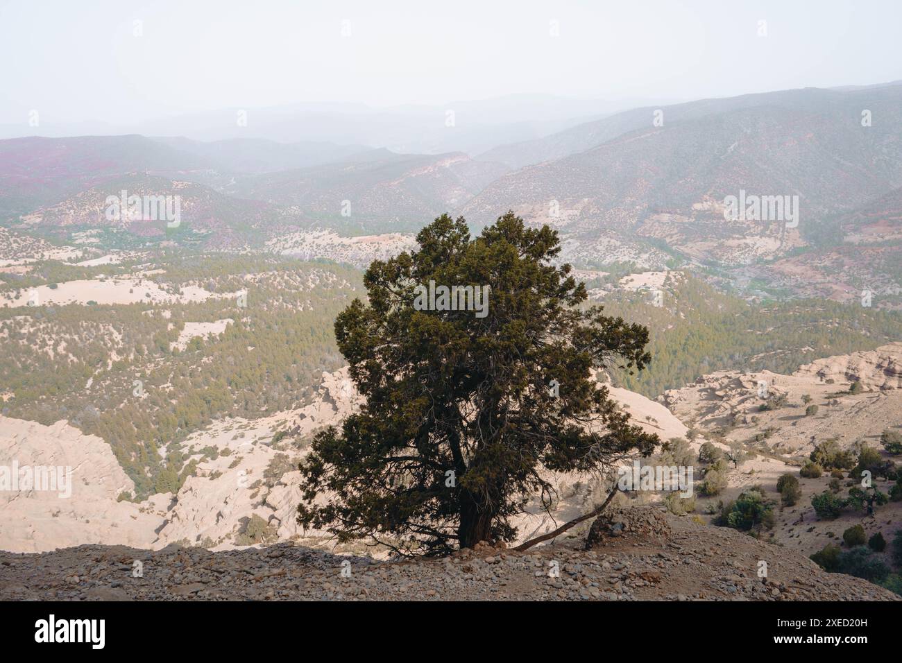 La Cathédrale Imsfrane Morocco Azilal Stock Photo - Alamy