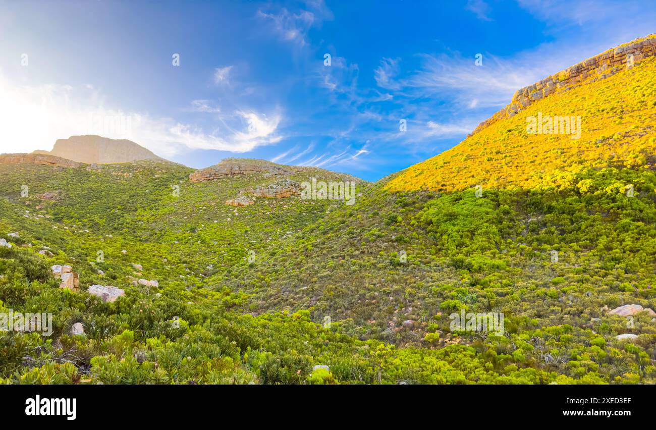 Rugged mountain landscape with fynbos flora in Cape Town Stock Photo ...