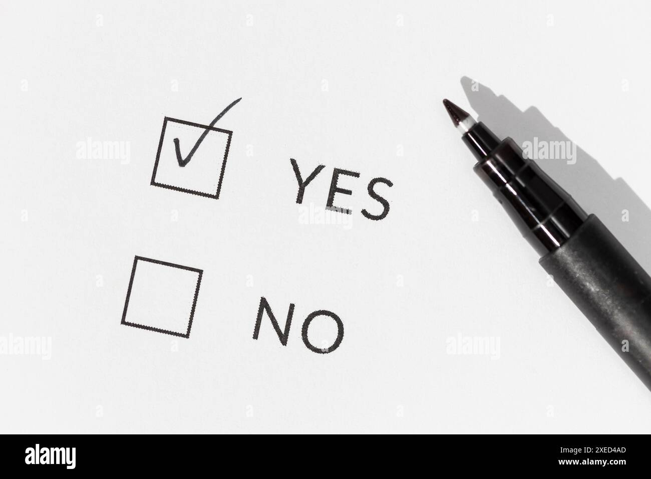 Yes or No Check boxes on white paper Stock Photo - Alamy