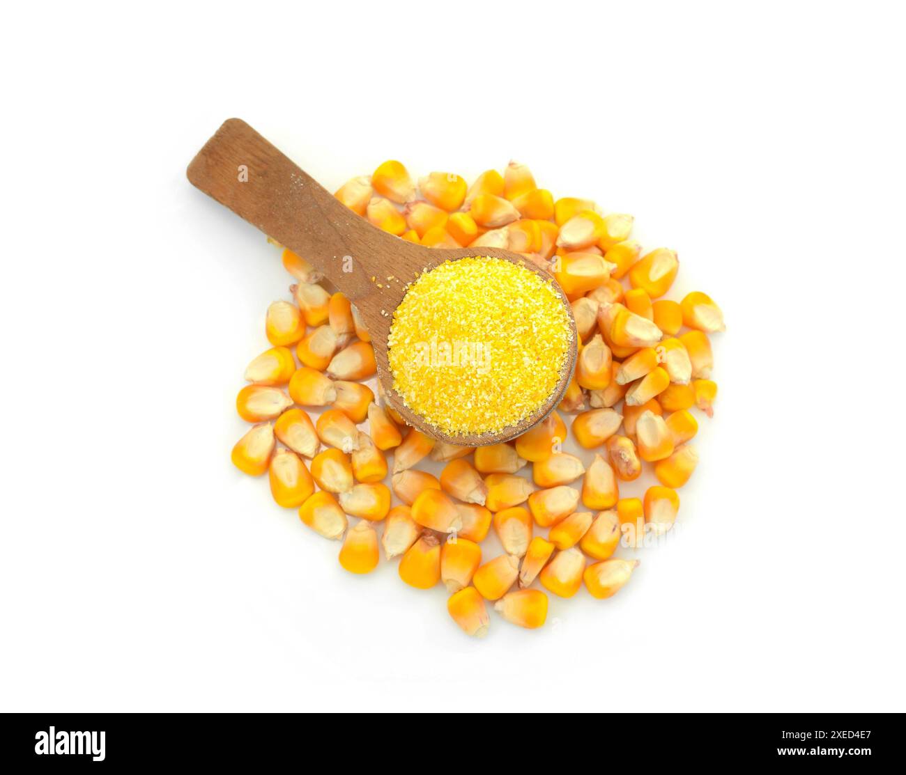 Uncooked cornmeal maize flour heap in a spoon and grains isolated on ...