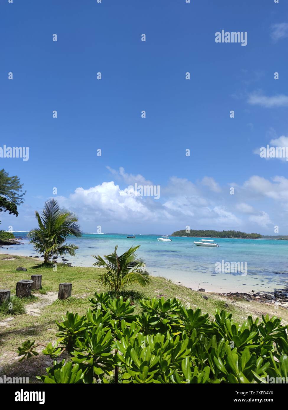 The blue mauritius hi-res stock photography and images - Alamy
