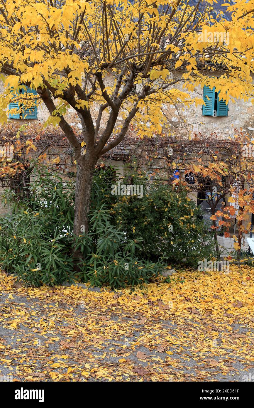 The tiny perched village of Courmes in the Loup valley in the Prealpes ...
