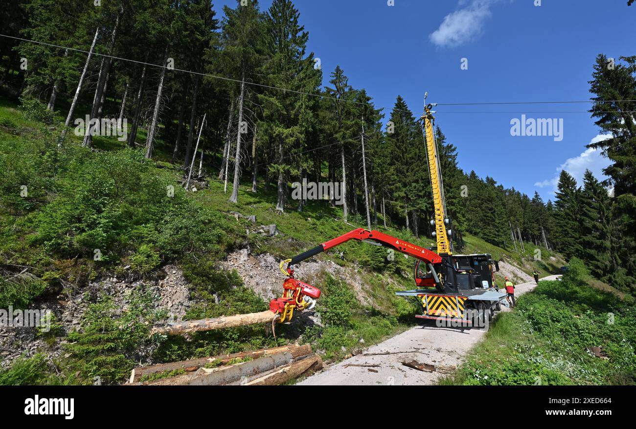 Gehlberg, Germany. 27th June, 2024. The state-of-the-art "Mounty ...