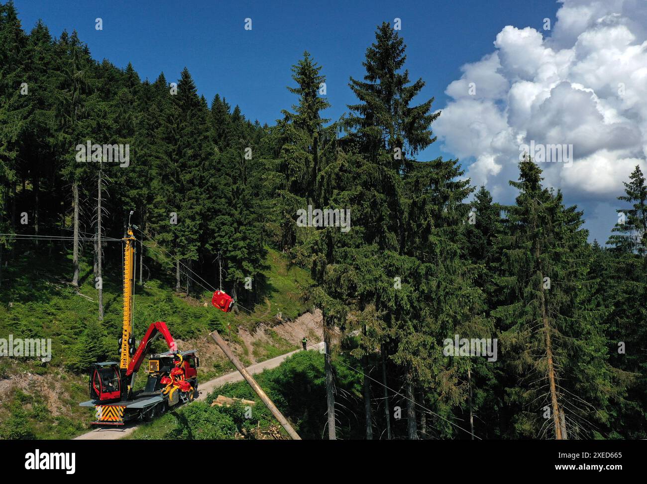 Gehlberg, Germany. 27th June, 2024. The state-of-the-art "Mounty ...