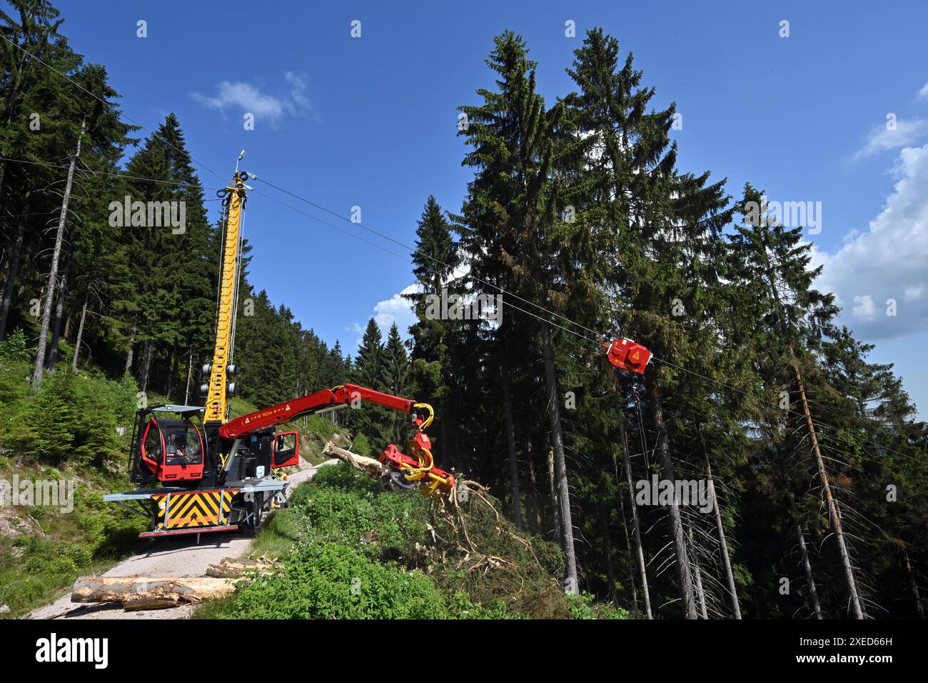 Gehlberg, Germany. 27th June, 2024. The state-of-the-art "Mounty ...