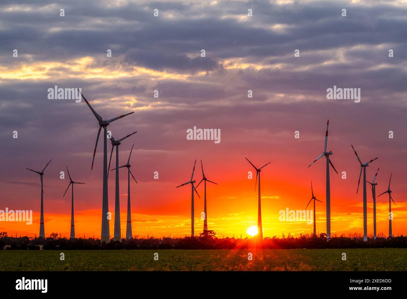 Wind turbines Wind farm at sunset Stock Photo - Alamy