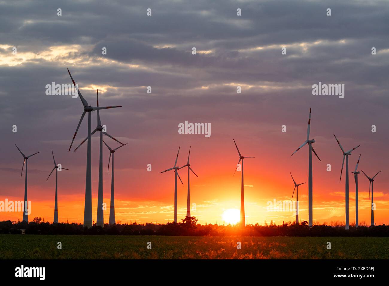 Wind turbines Wind farm at sunset Stock Photo - Alamy