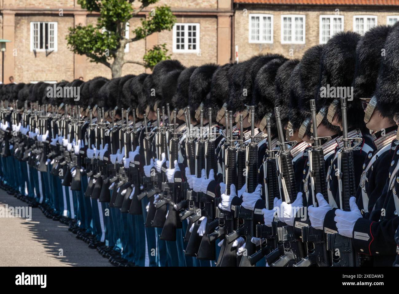 The Royal Life Guards during the Anniversary Parade and the handover of ...