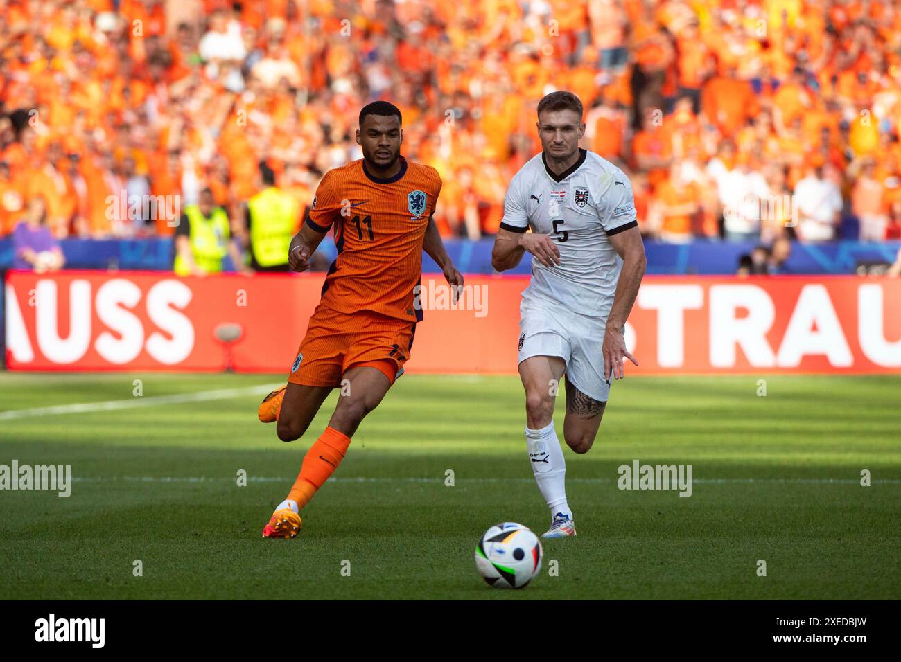 Stefan Posch (Oesterreich, #05) im Zweikampf mit Cody Gakpo (Niederlande, #11), GER, Netherlands ...