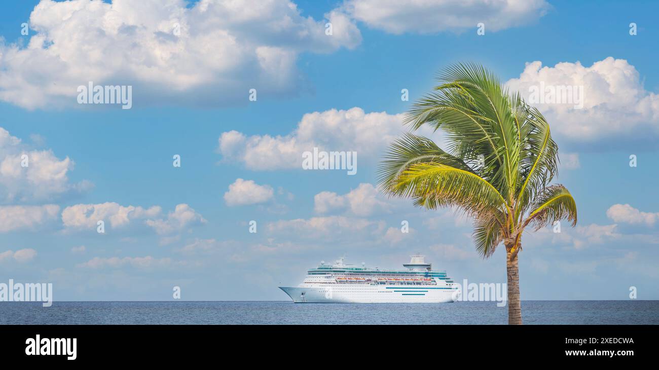 Cruise ship in Caribbean sea with palm tree on foreground. Landscape ...