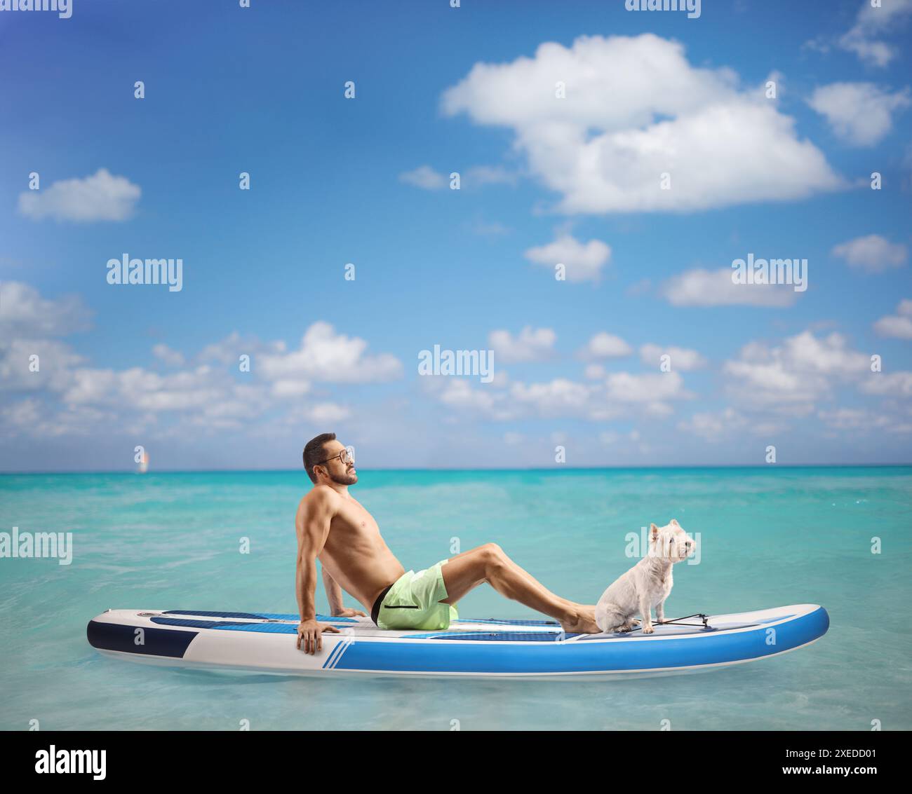 Young man with a westie terrier dog sitting on a SUP and sunbathing in ...