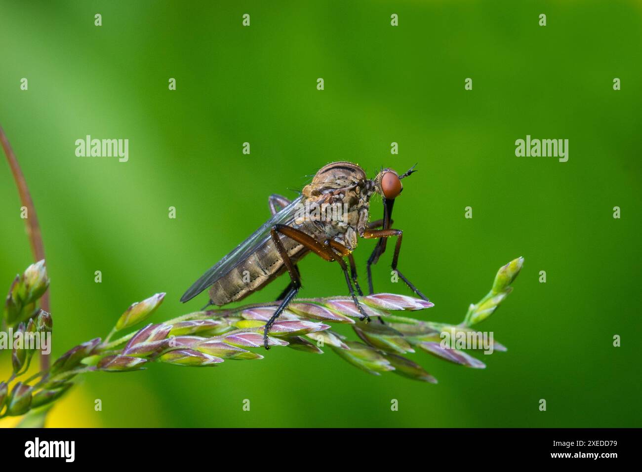 Sunderland aerial hi-res stock photography and images - Alamy