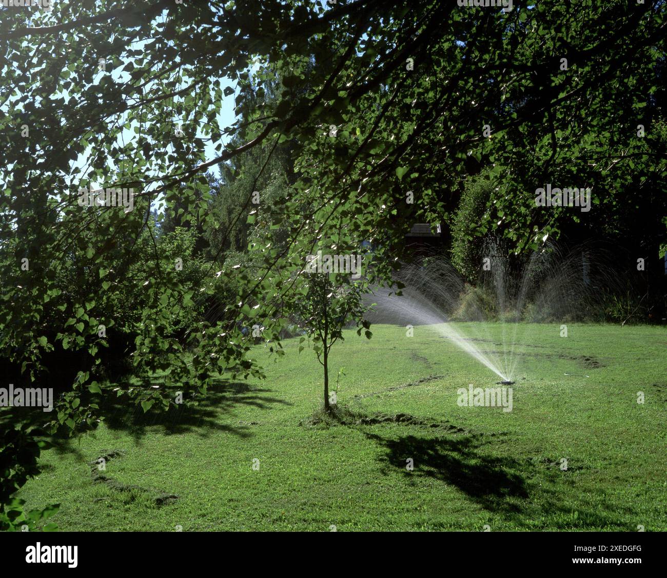 Springkler hi-res stock photography and images - Alamy