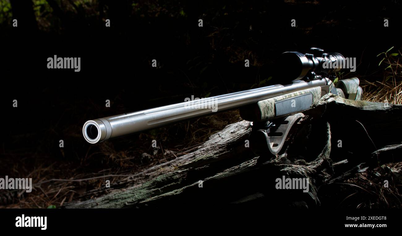 Dark forest with a .50-caliber rifle that is an inline muzze loader ...