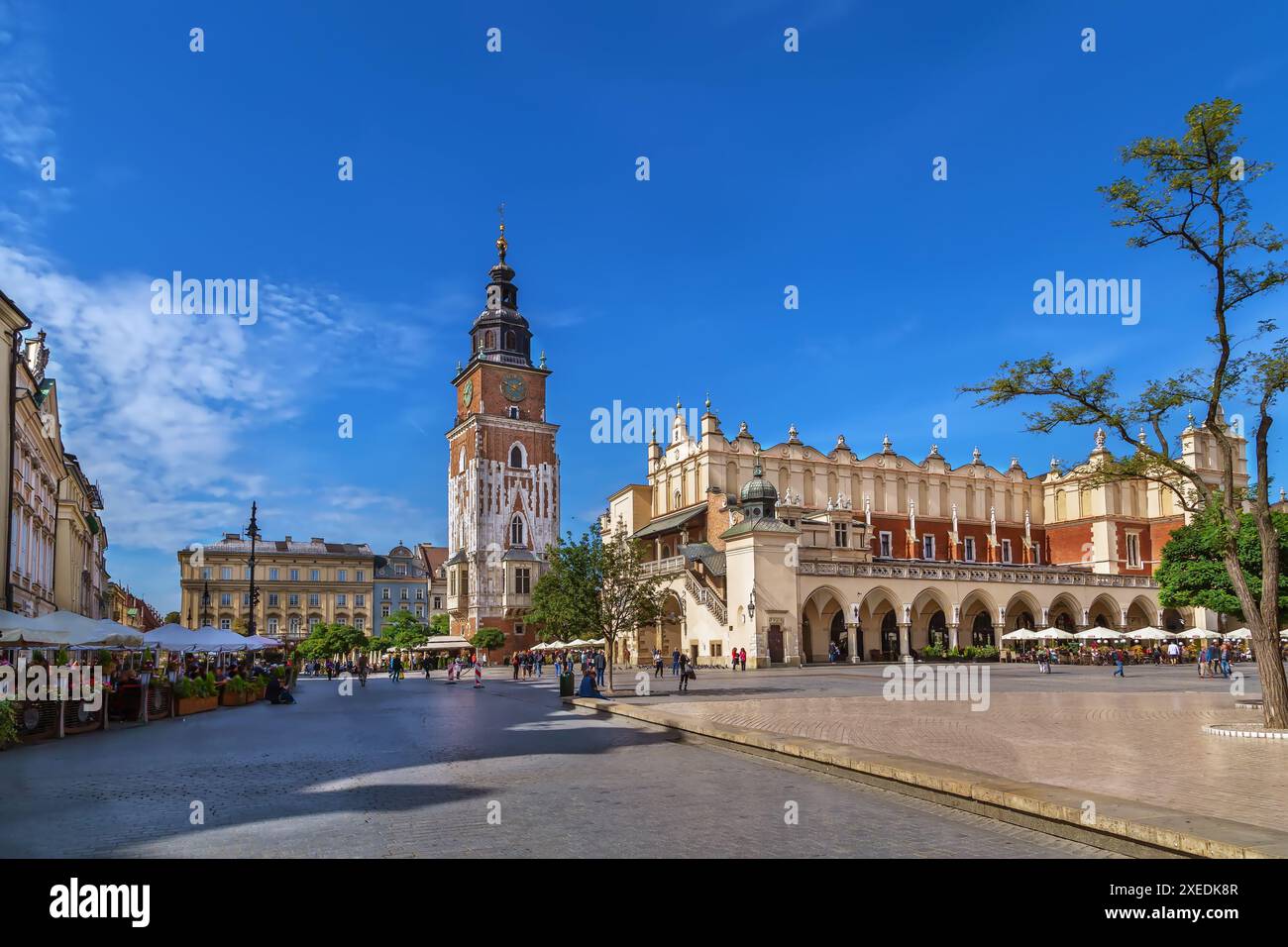Cloth Hall and Town Hall Tower, Krakow, Poland Stock Photo - Alamy