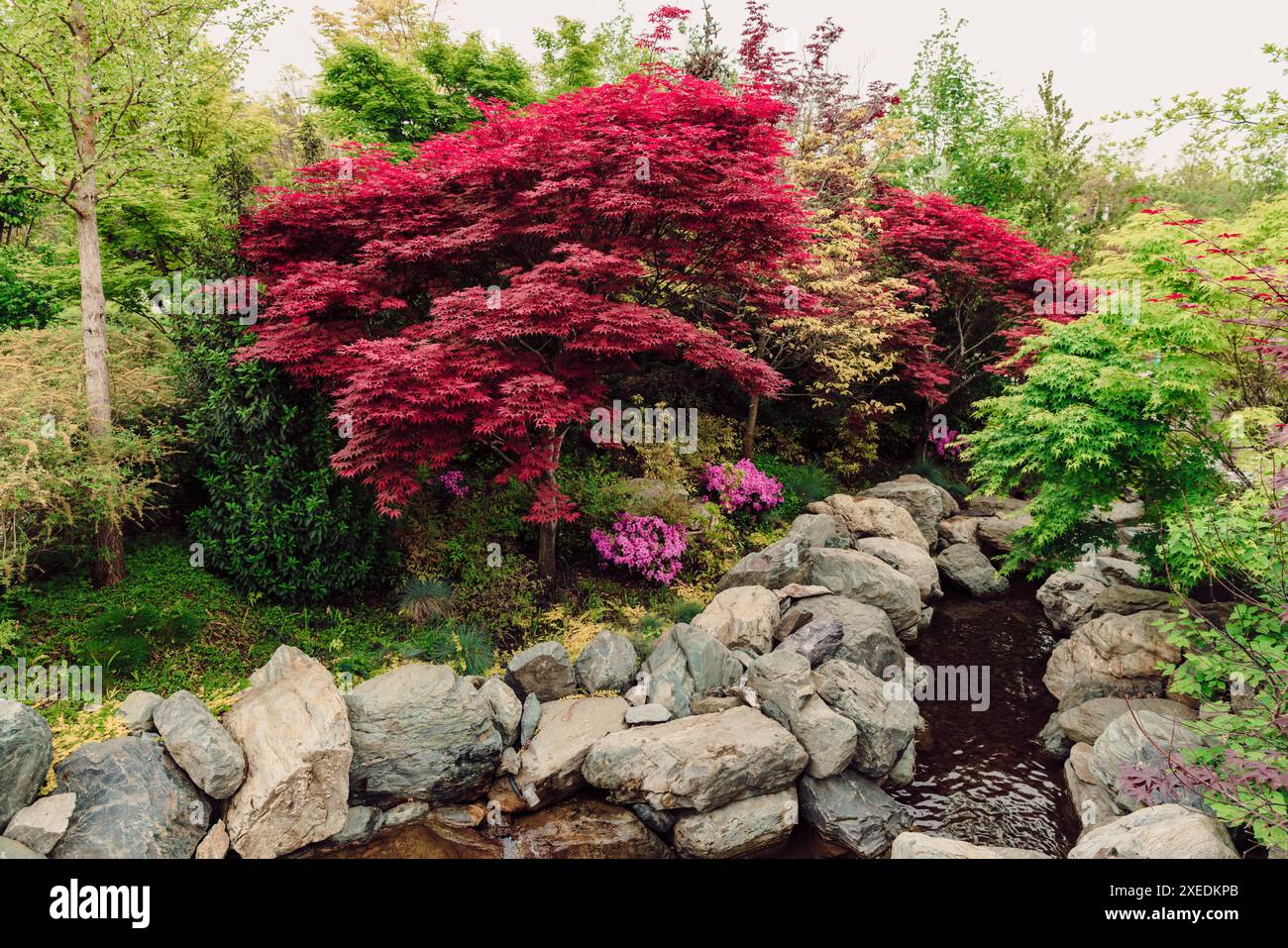 Japanese garden in Krasnodar park. Traditional asian park with Japanese ...