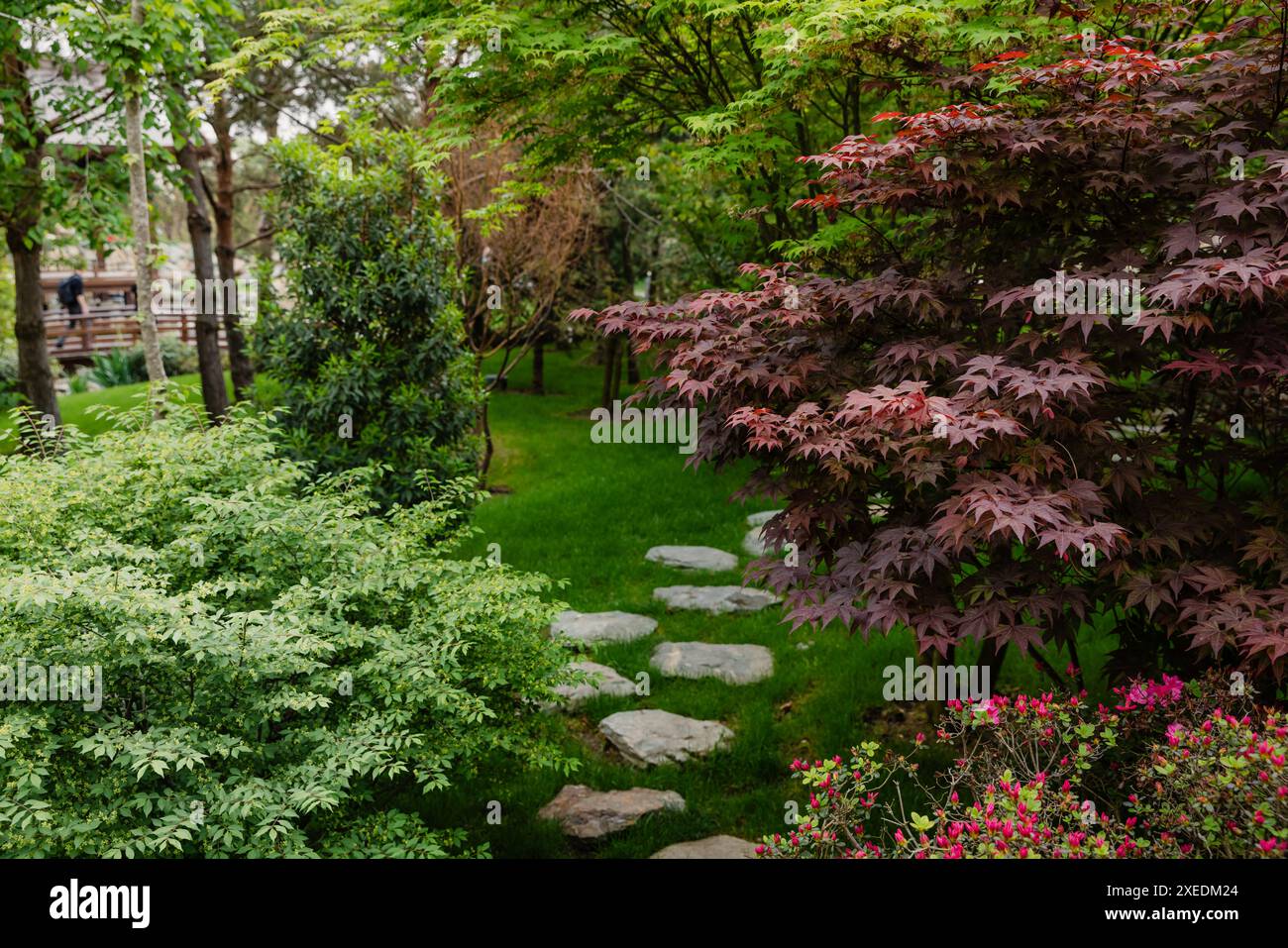 Japanese garden in Krasnodar park. Traditional asian park with Japanese ...