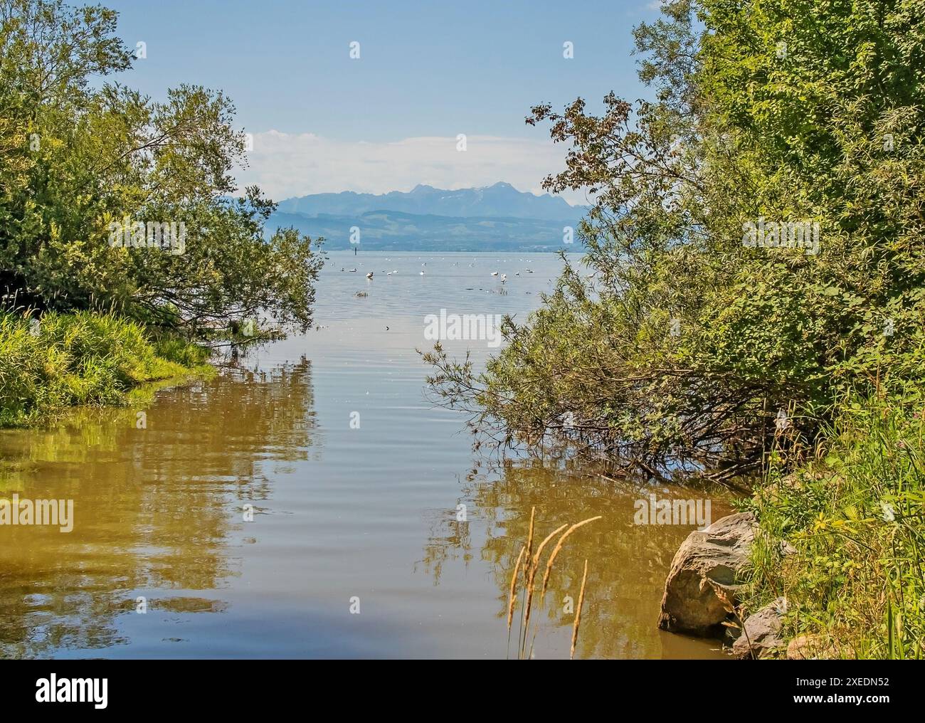 Alpine view in Friedrichshafen to Altmann and SÃ¤ntis Stock Photo - Alamy